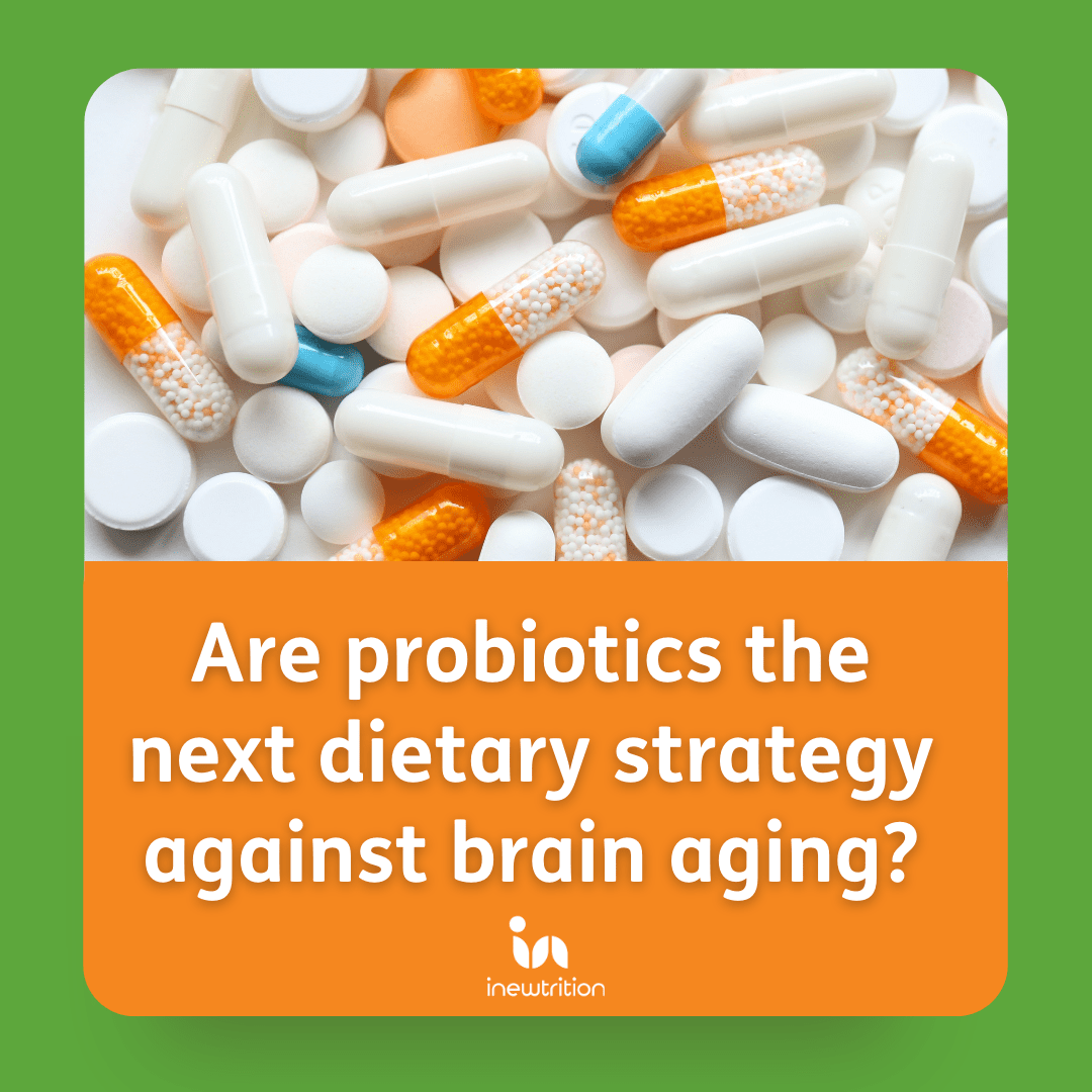 Are probiotics the next dietary strategy against brain aging? - iNewtrition